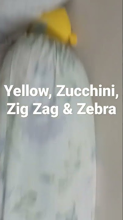 Yellow, Zucchini, Zig Zag & Zebra - YouTube