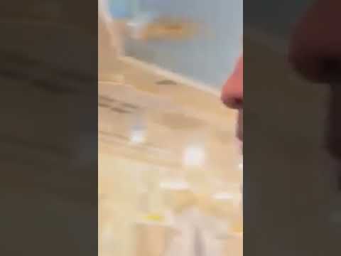 Cinarlı Taleh Avtoritet Rafiqin ad gunu 2023