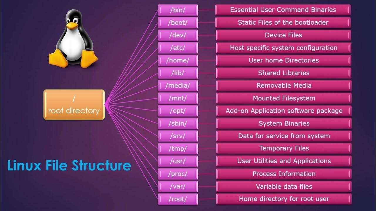 Linux File Structure Linux Techiezero Youtube