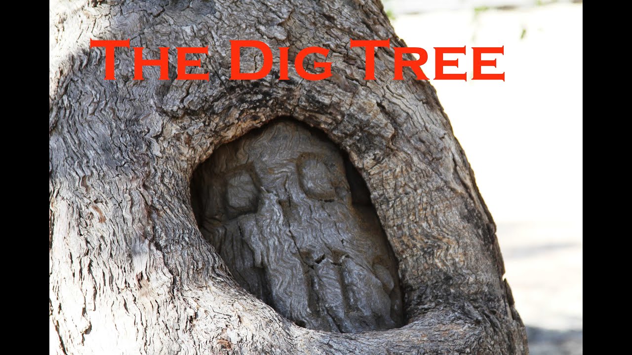 Taking the road less travelled to the famous Burke and Wills Dig Tree ...