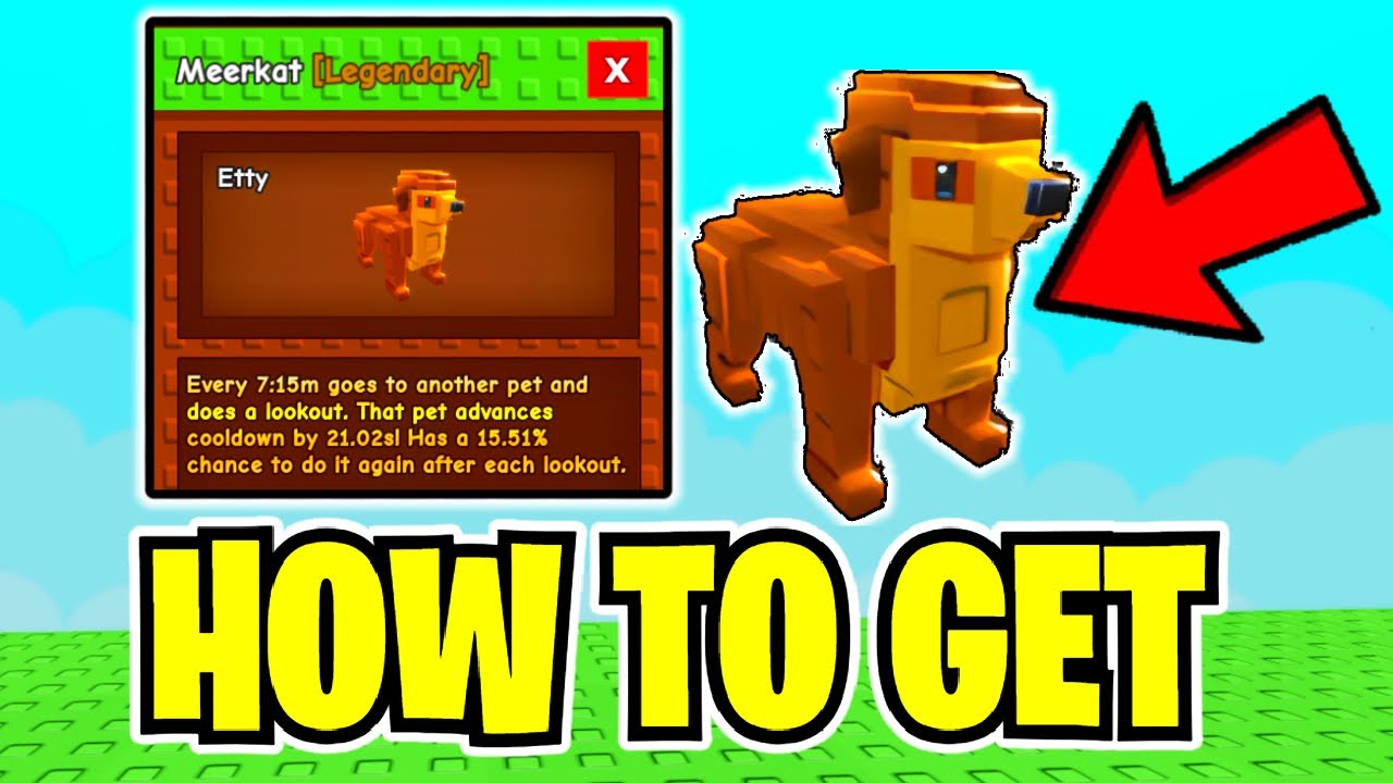 How To GET MEERKAT & SHOWCASE In GROW A GARDEN! (FULL GUIDE) ROBLOX ...