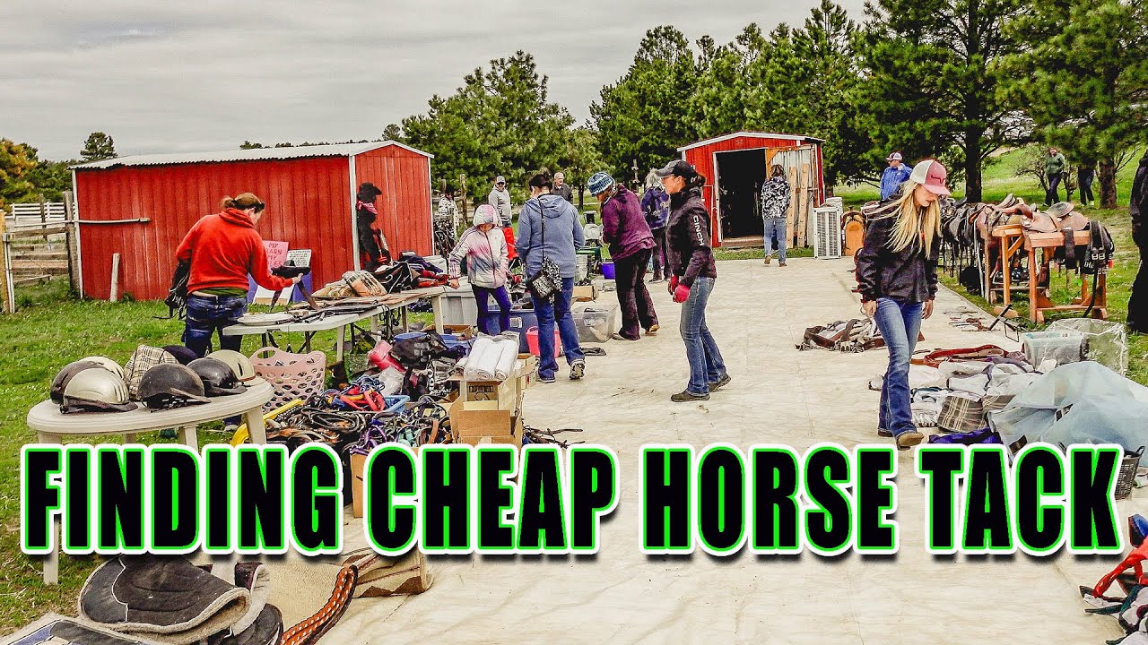 INSANE Tack SALE ~ AMAZING DEALS! So many bargains 🤯 - YouTube