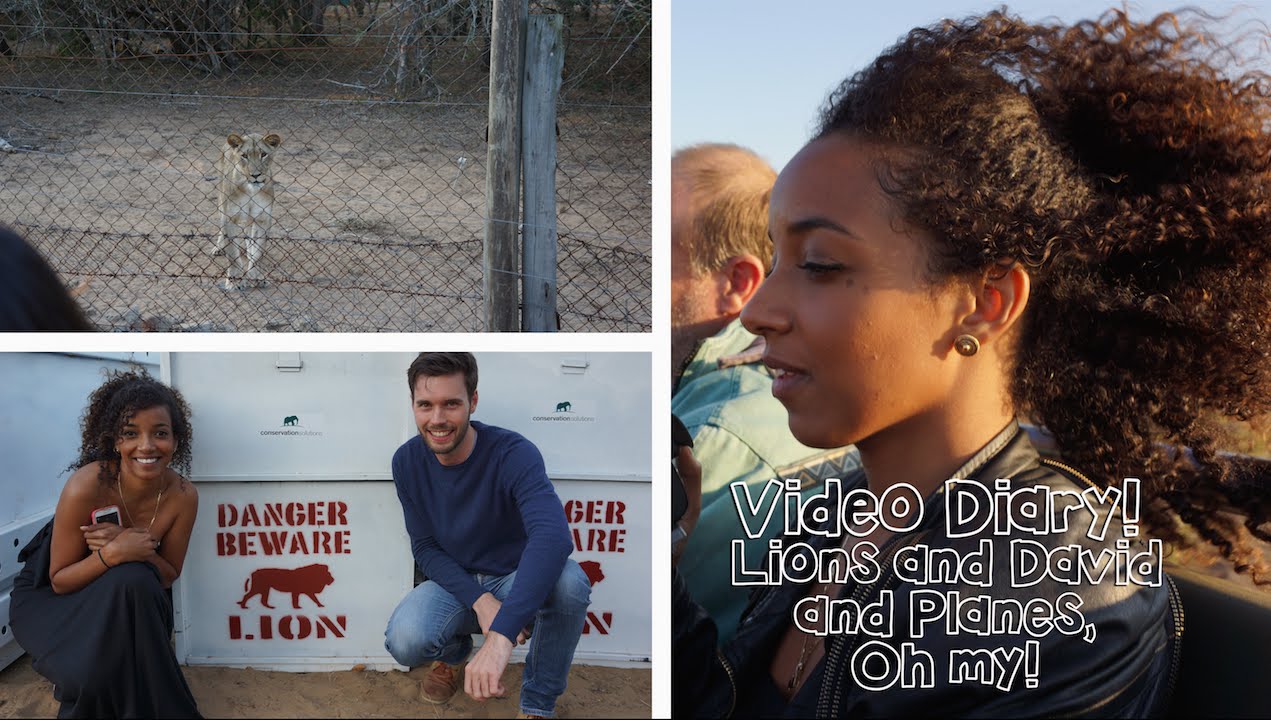 PICKING UP LIONS for RWANDA! ft. DAVID TOOVEY - YouTube