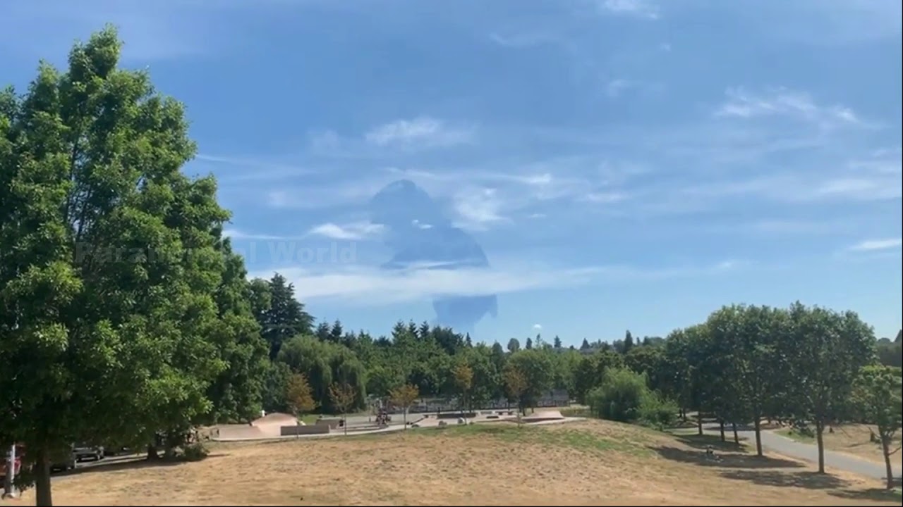 Giant Kermit in real life - YouTube