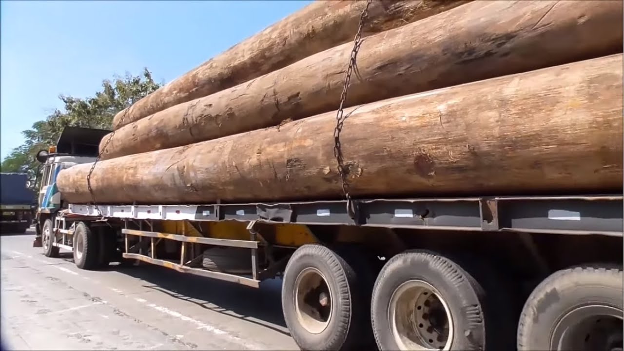 Amazing Logging Truck Driver Skills On Extreme Road Compilation 2022 ...