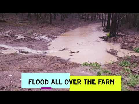 MARULAN FARM - Thunderstorms - YouTube