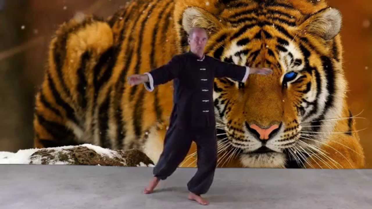 Agenda 12: Deflect, Intercept & Punch, Right Heel Kick, Hit Tiger Left ...