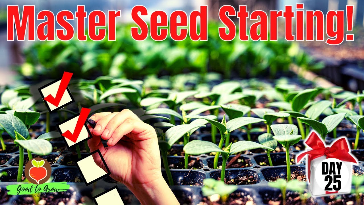 Transform Your Gardening Game: A Beginner's Seed Starting Guide - YouTube