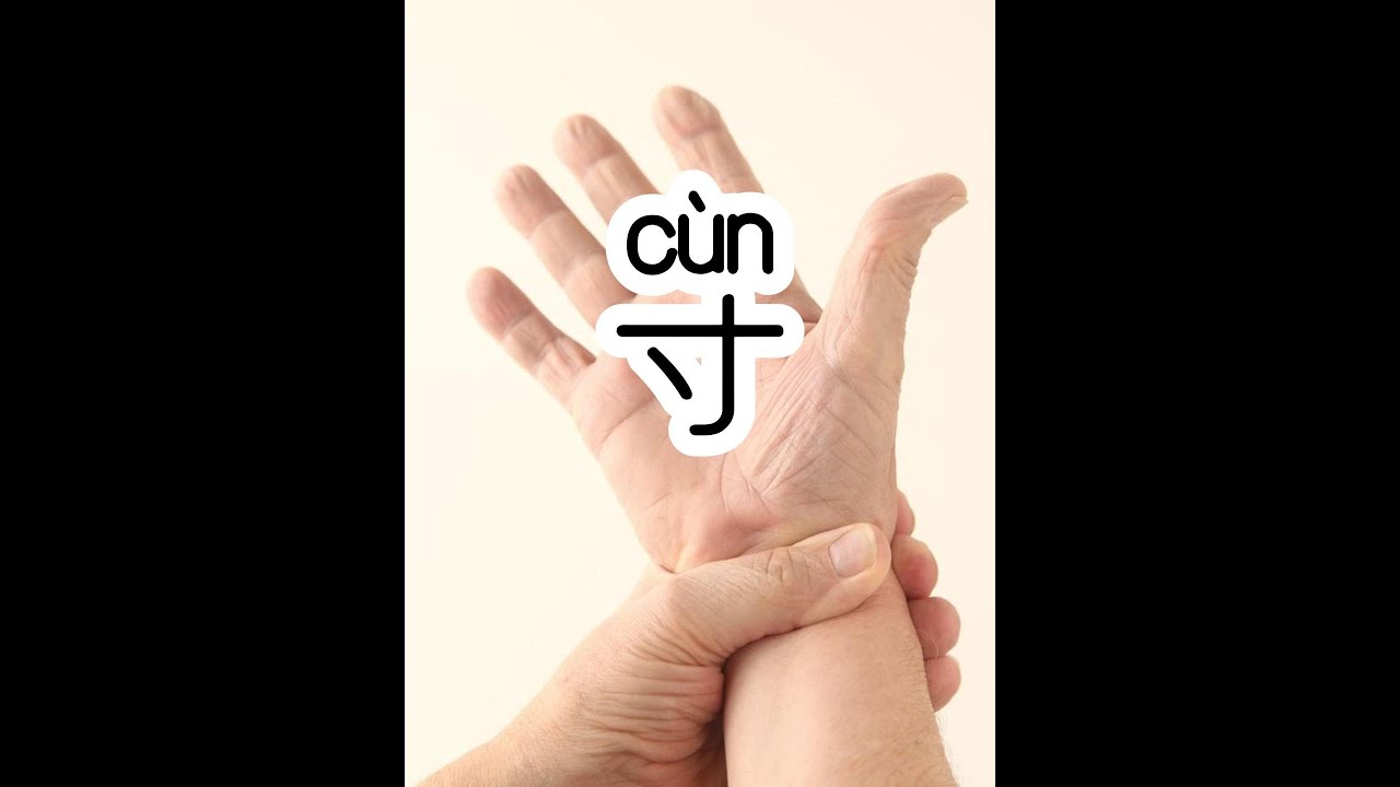 [寸cun]Learn one Chinese character a day! Come and learn more characters ...