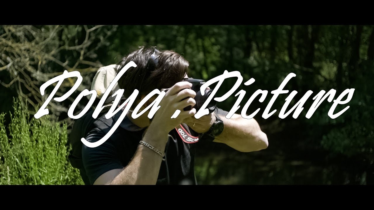 POLYA.PICTURE PRESENTATION - YouTube