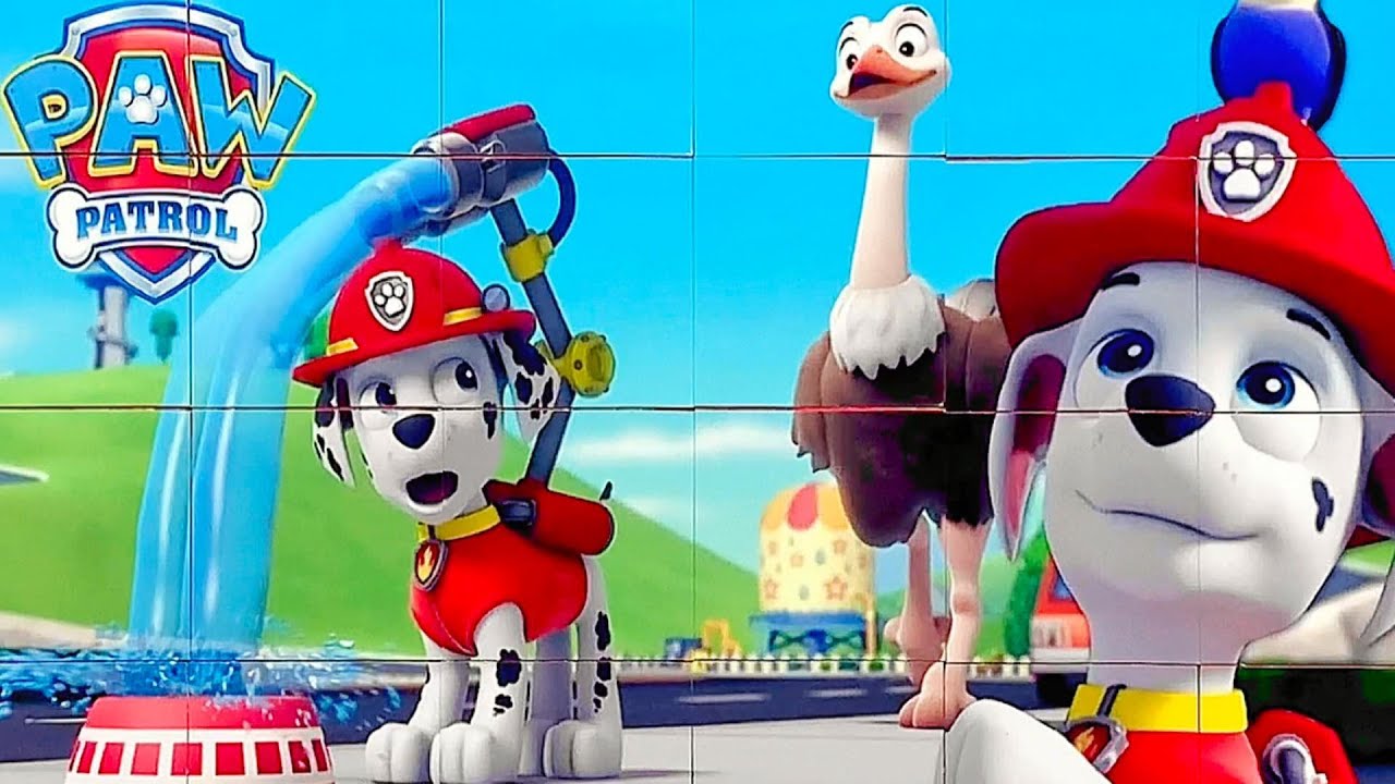 Marshall's Best Animal Rescue | PAW Patrol | Puzzle for kids and for ...