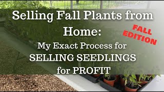 New Fall Veggies How to Grow and Sell Fall Plants for MASSIVE Profit