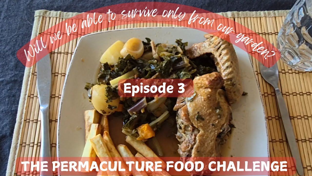 FEBRUARY FOOD CHALLENGE – HEAT, HUNGER & HOMEGROWN HACKS! - From Garden ...