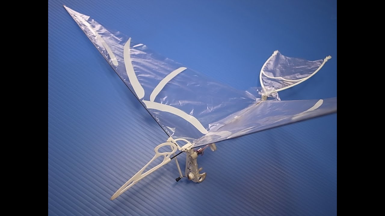 Ornithopter pteranodon RC type モータープテラ - YouTube