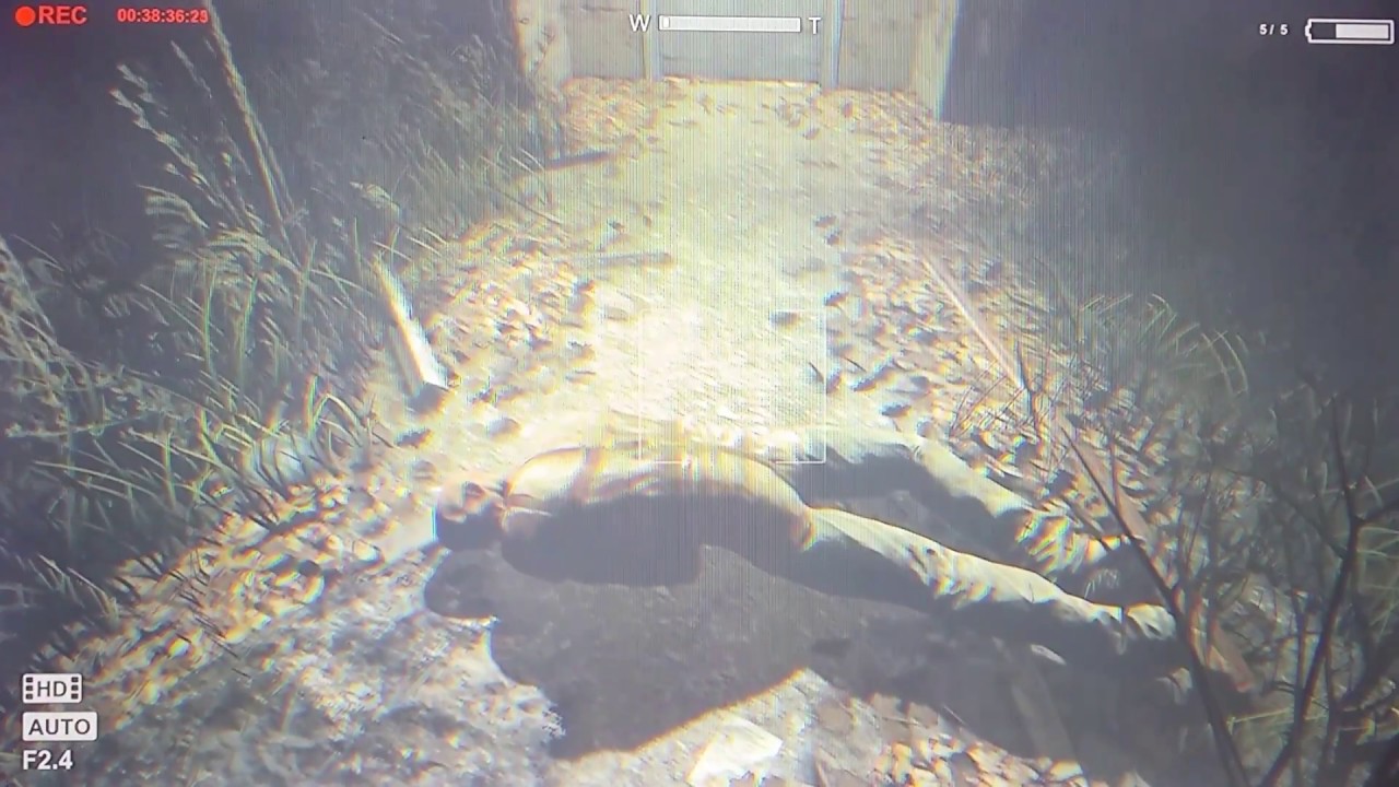 Outlast whistleblower Part 4 The Groom - YouTube
