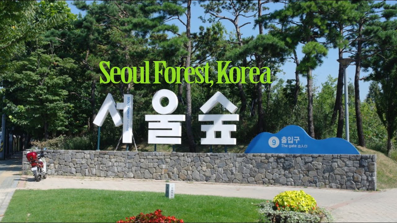 서울 숲.Seoul Forest, Korea - YouTube