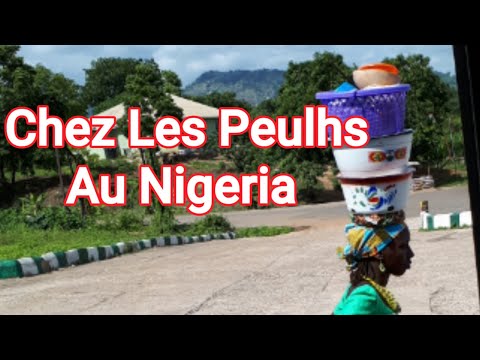 Les Peulhs Du Nigeria-Nigeria Fulani 👍🏿😍