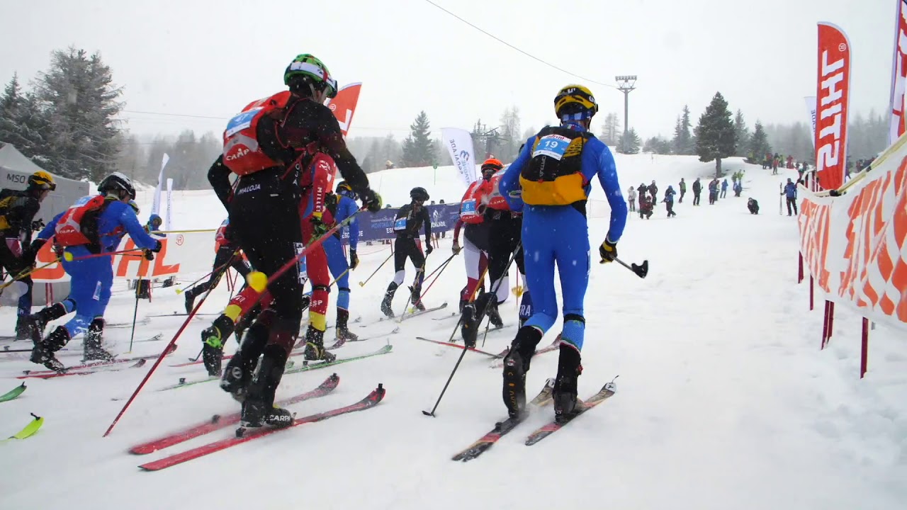 SDM NEWS PUNTATA 01-12-2020 - YouTube