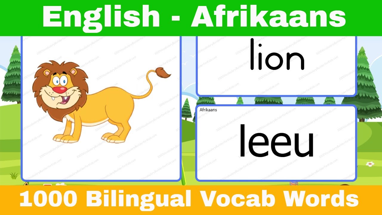 📌Learn English Afrikaans Vocabulary with Pictures for Beginners : Leer ...