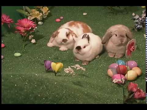 Happy Easter - YouTube