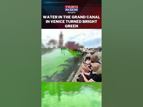 Watch! Venice's Grand Canal Mysteriously Turns Fluorescent Green # ...