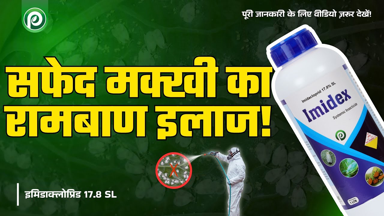 IMIDEX (Imidacloprid 17.8% SL) - YouTube
