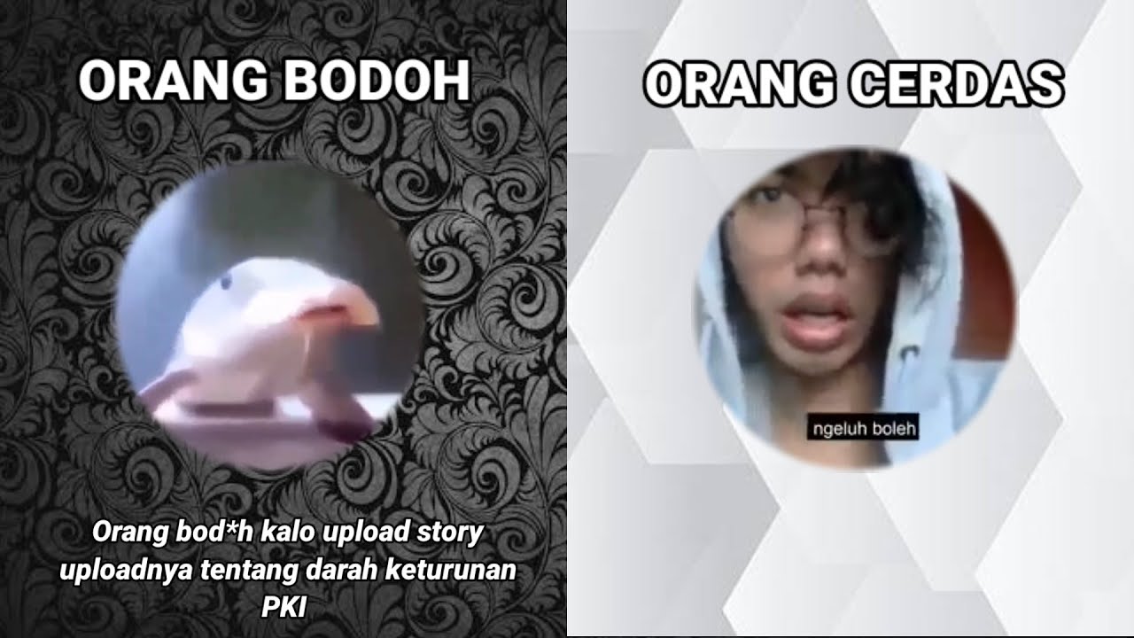 POTRET ORANG CERDAS SAAT UPLOAD STATUS (MEME) - YouTube