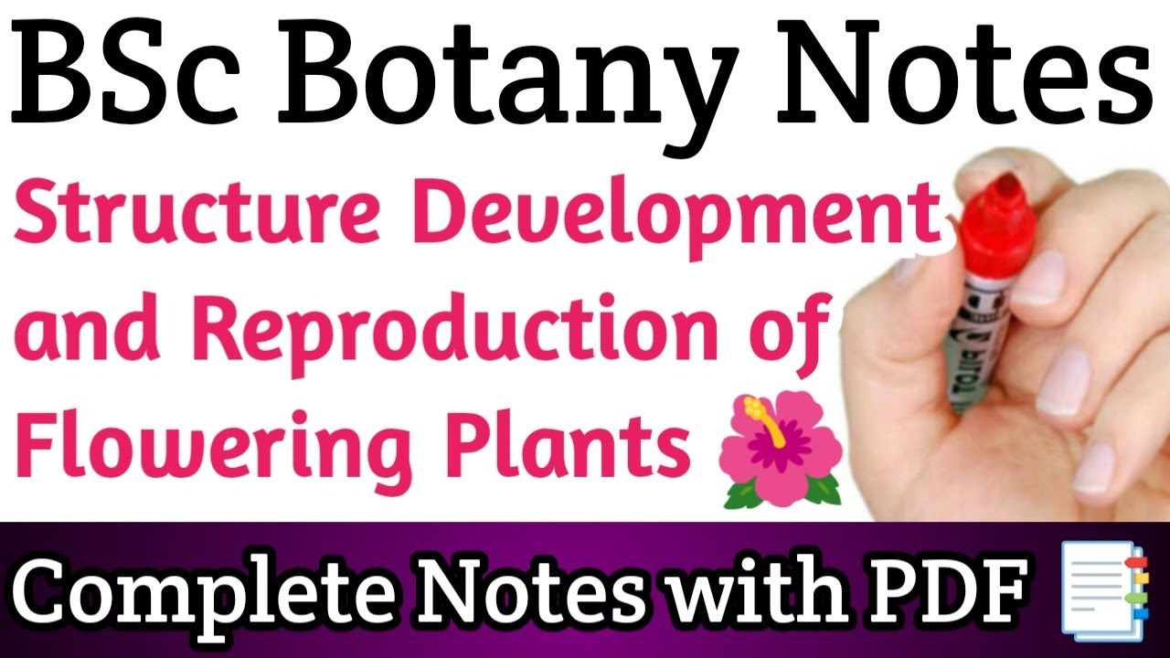 Structure Development and Reproduction of Flowering Plants || BSc ...