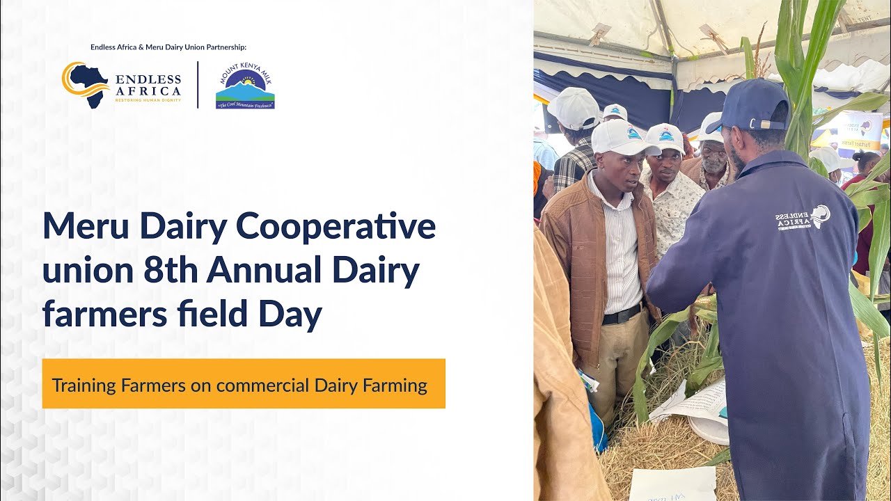 Meru Dairy Cooperative Union Dairy Farmers Field Day | Empowering ...