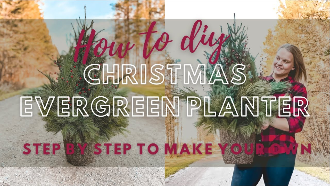 DIY HOLIDAY EVERGREEN PLANTER | how to make a winter planter | winter ...