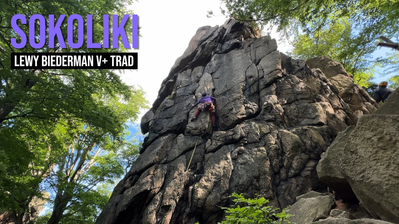 Sokoliki | Sukiennice | Lewy Biederman V+ Trad | 4K - YouTube