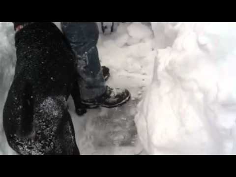 Snow poop - YouTube