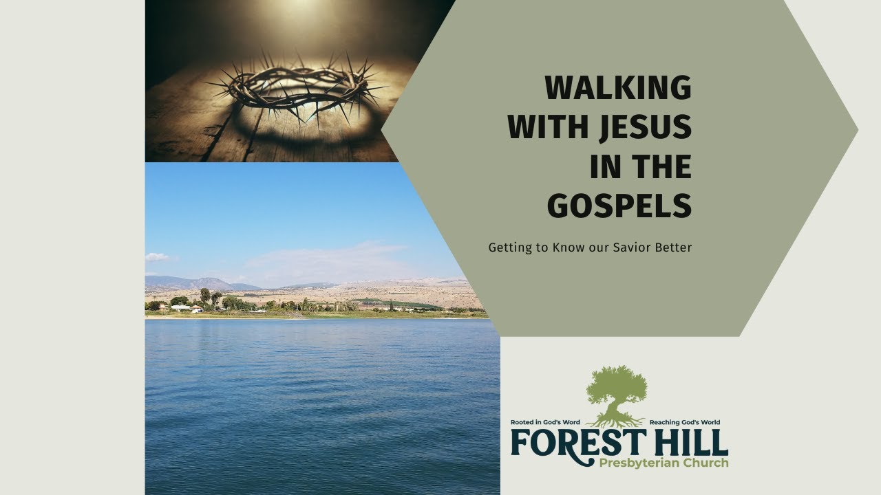 Walking with Jesus in the Gospels - Week 13, Day 4 - When is Joy Mixed ...