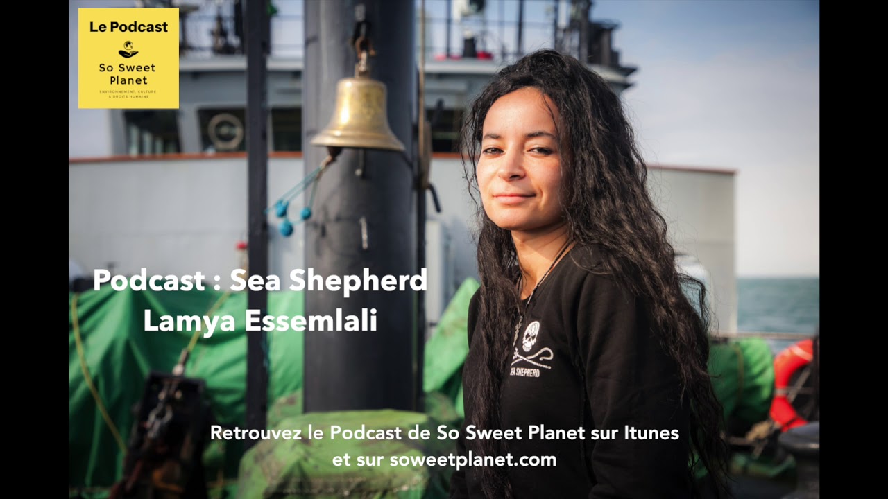 SEA SHEPHERD Interview de Lamya Essemlali : Protéger les océans, la ...