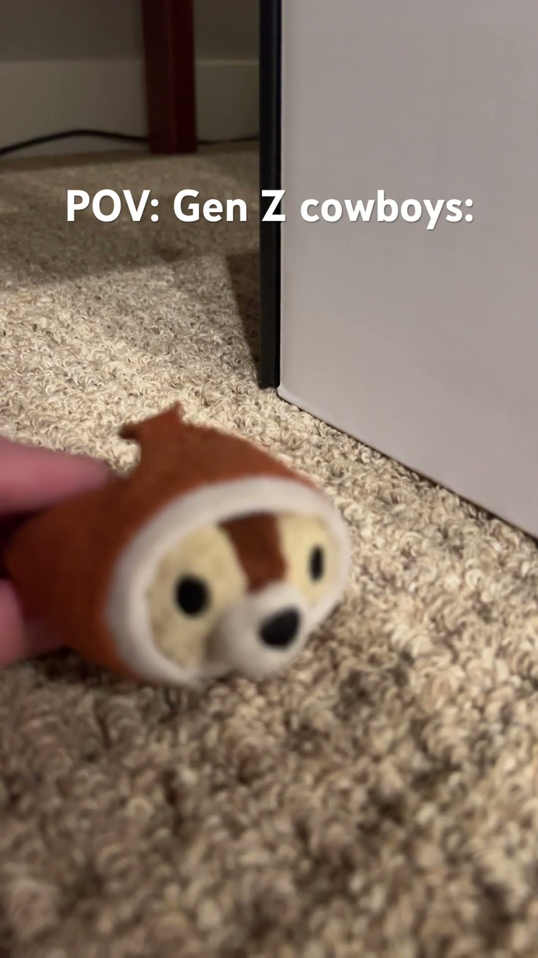 Gen Z cowboys: - YouTube