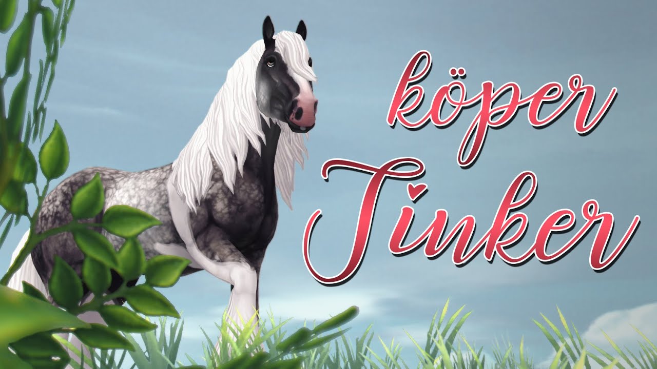 [SSO] Köper en Tinker! - YouTube