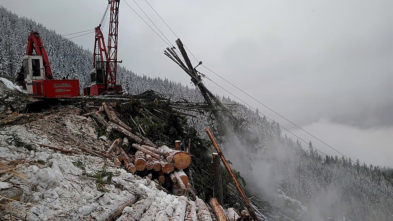 Grapple yarding - YouTube