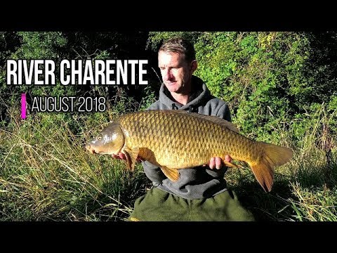 Carp fishing France: River Charente August 2018 - YouTube