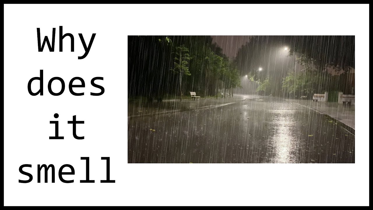 Why Does Rain Smell - YouTube