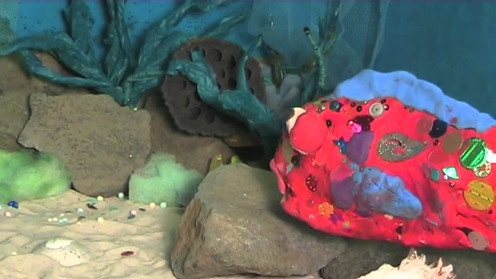 Rainbow Fish Animation - YouTube
