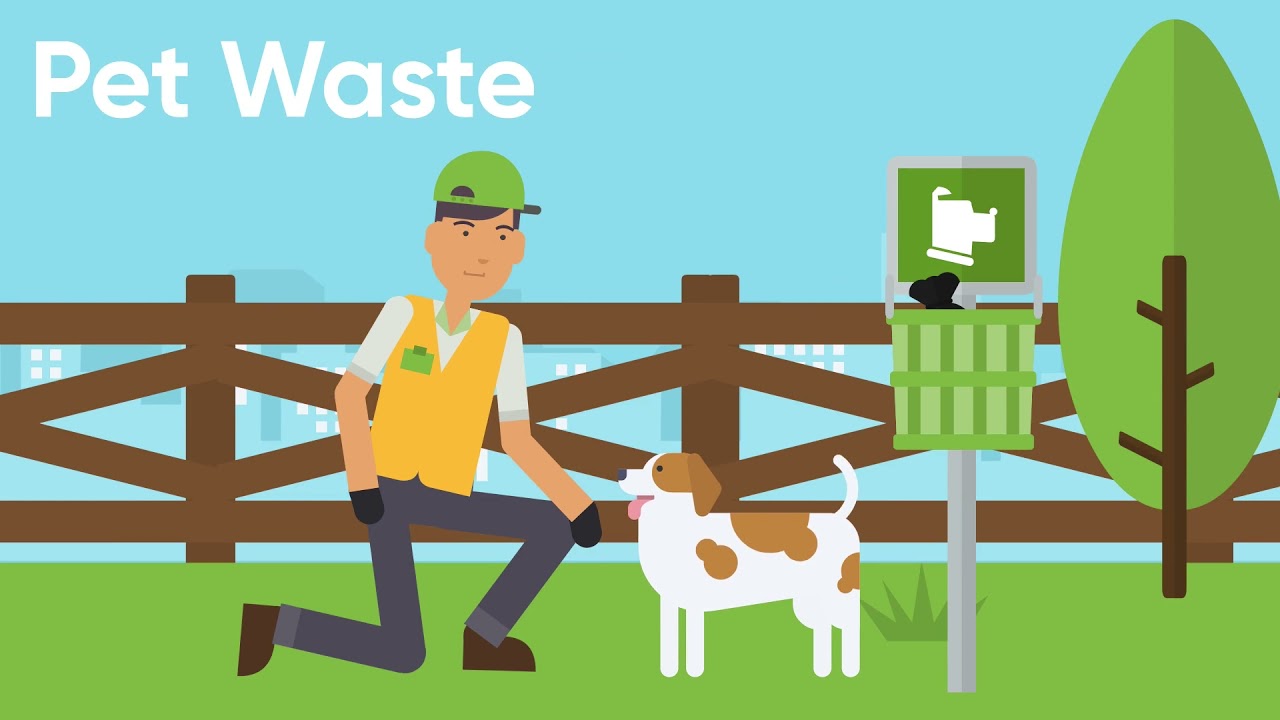 Why Ally Waste - YouTube