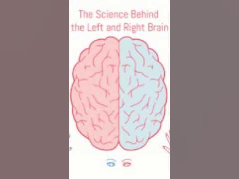 Right and Left Brain Synchronization and utilizing the Full capacity of One’s Mind - YouTube
