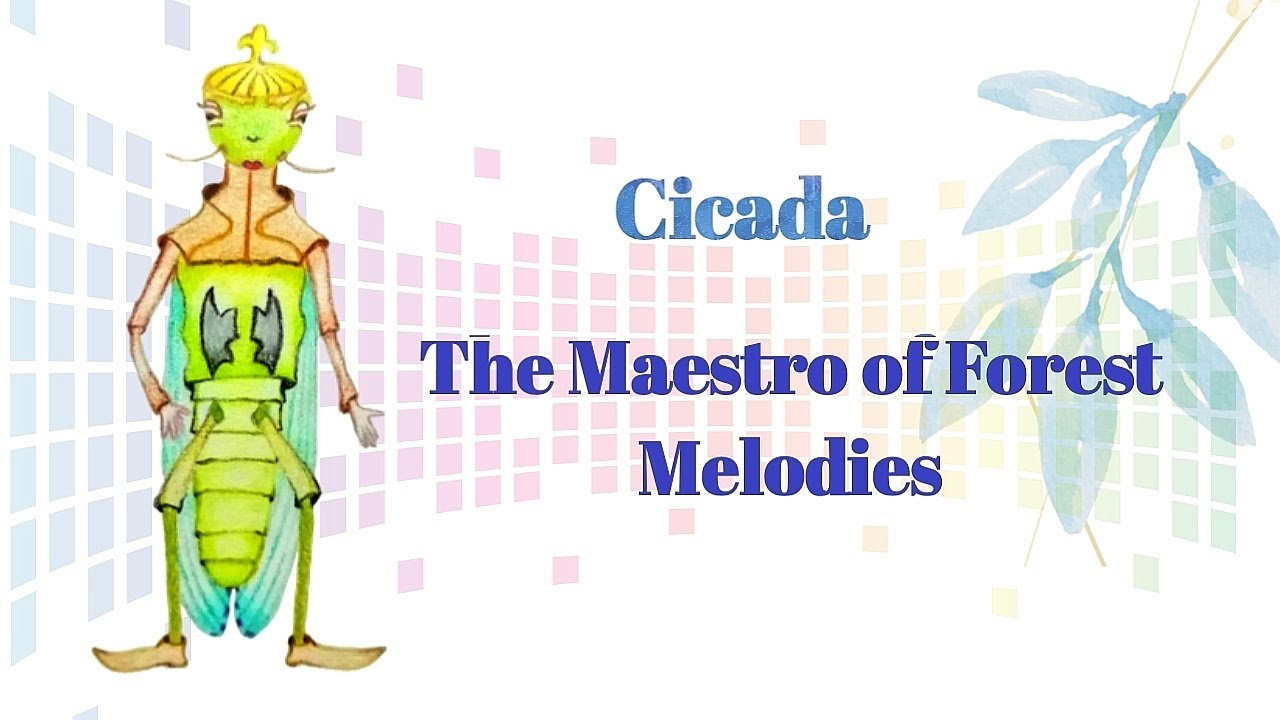 How to #Draw Cicada: A Stunning New #Character Inspired by a Vibrant ...