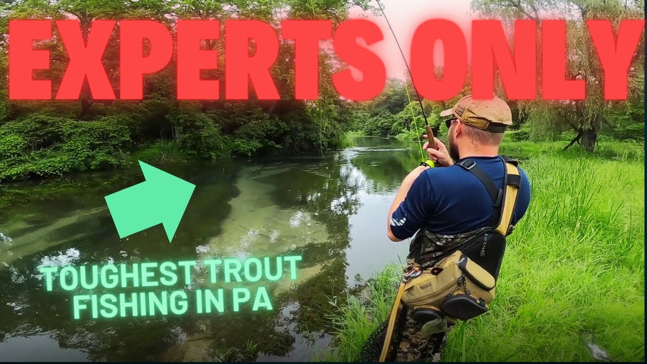 Fly Fishing the TOUGHEST Trout in PA – Letort Spring Creek Brown Trout ...