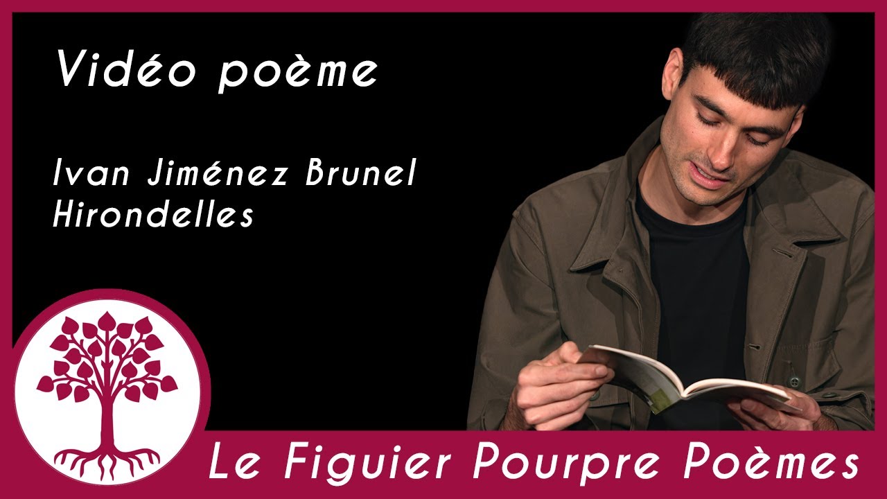 Vidéo poème Hirondelles de Ivan Jiménez Brunel - YouTube