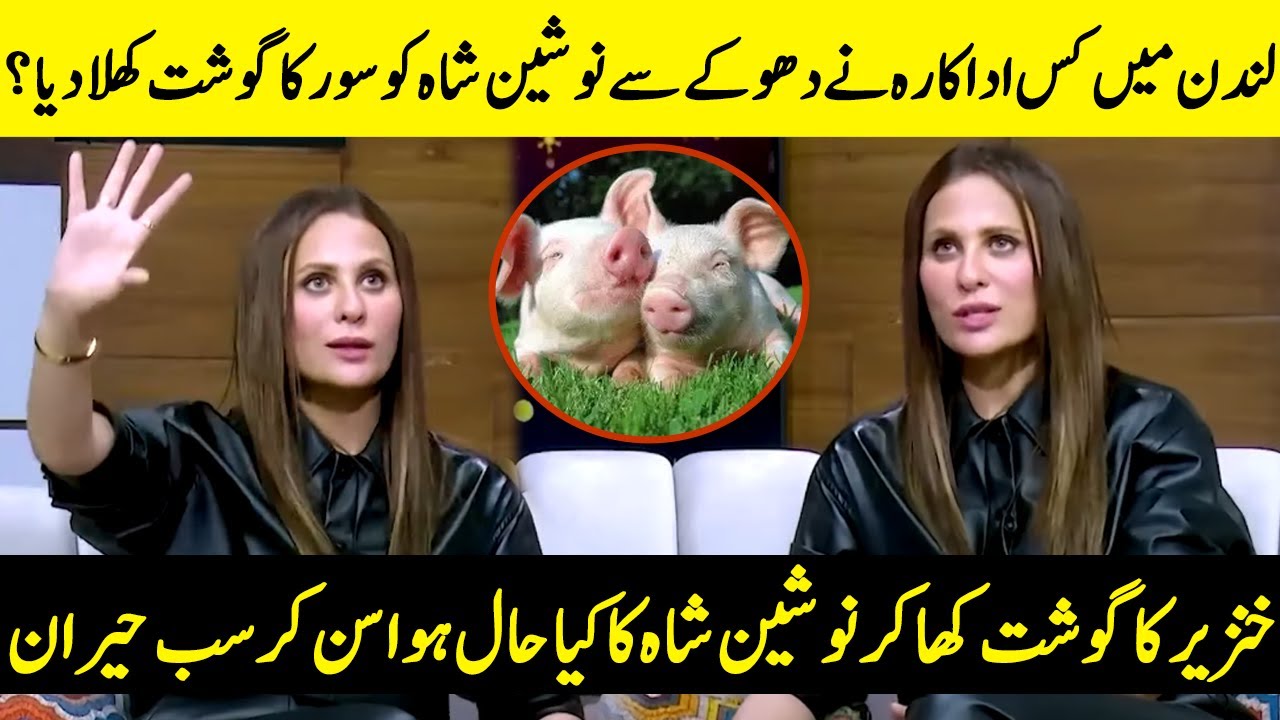Kya Nausheen Shah Ne Jaane Anjaane Mein Khinzeer Ka Gosht Khaya? | Wasi ...