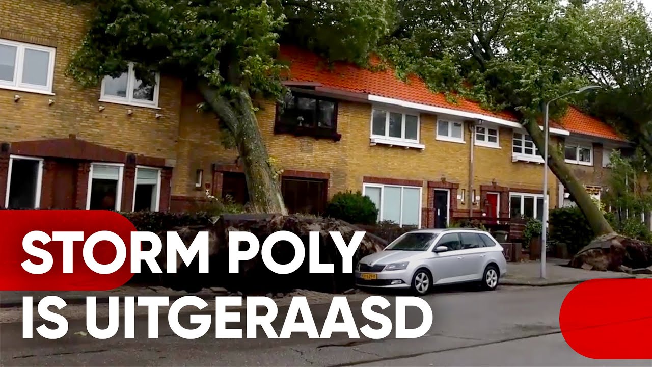 De gevolgen van storm Poly - YouTube
