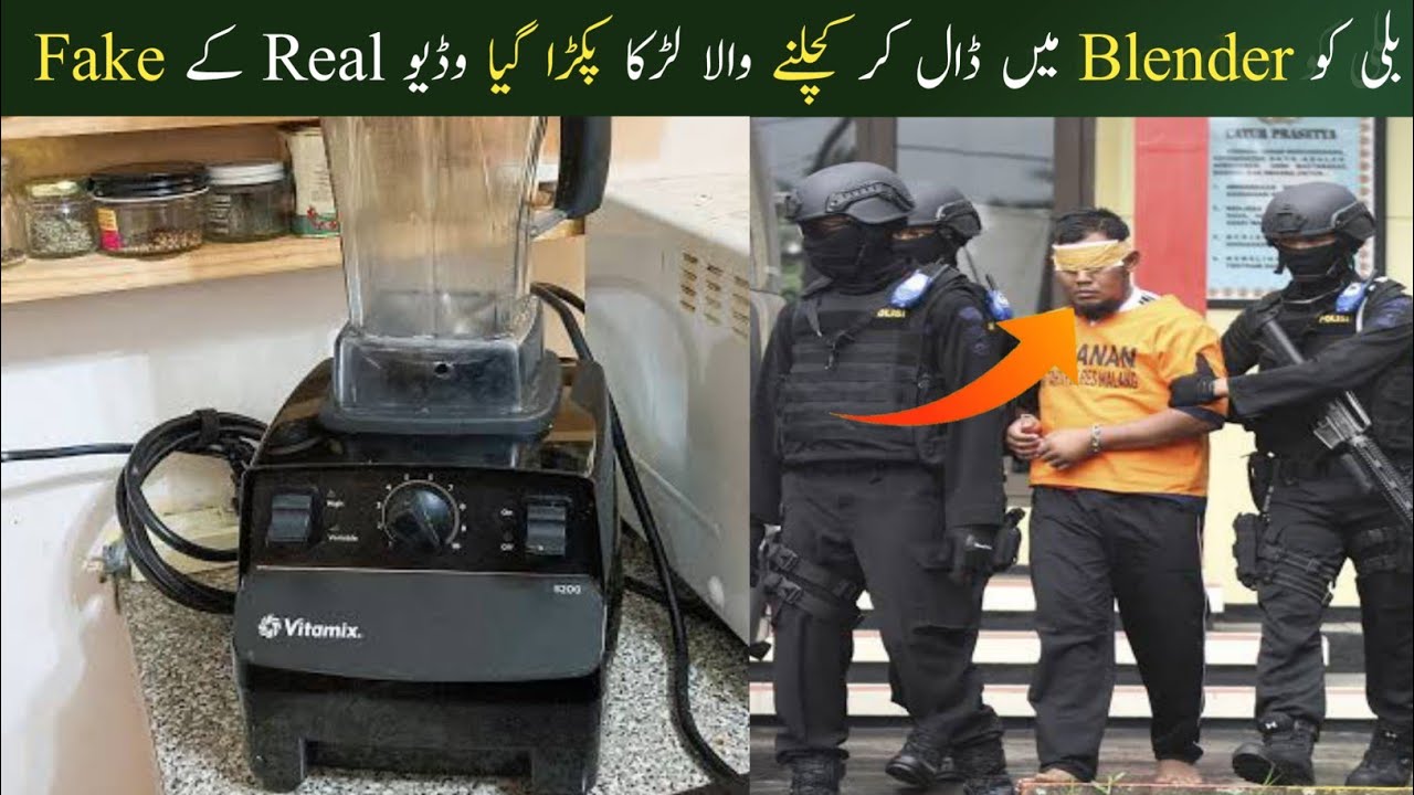 Cat Blender video Uploader Caught In China || Cat Blending Video Real ...