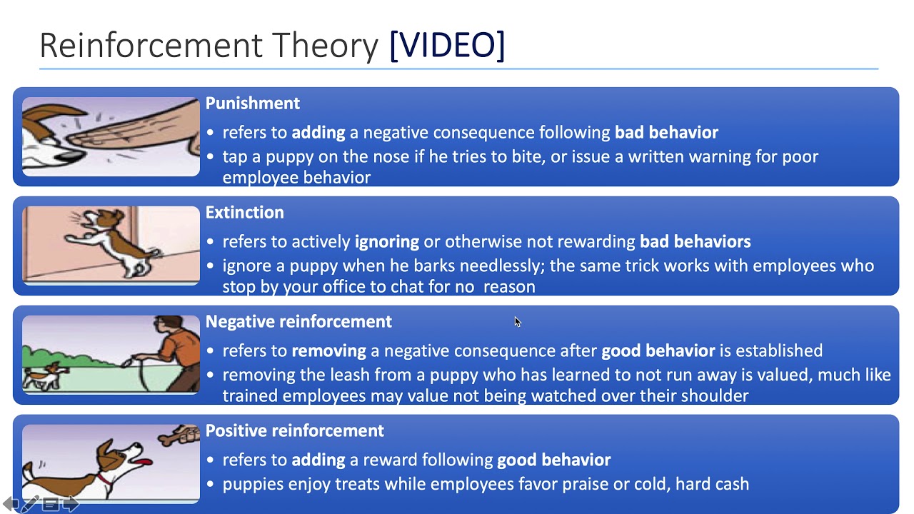 Organizational Behavior: Punishment and reinforcement - YouTube