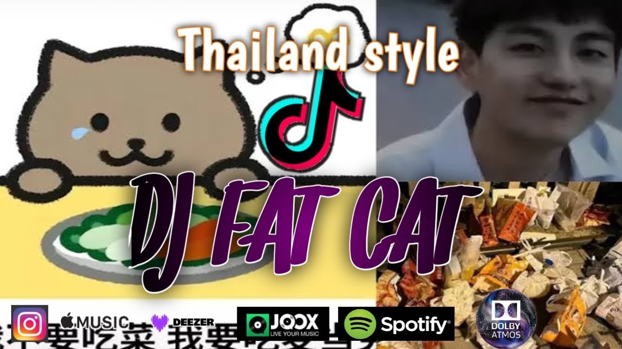 DJ FAT CAT // THAILAND STYLE// DJ YULI // VIRAL TIKTOK TERBARU 🍄🍄 - YouTube